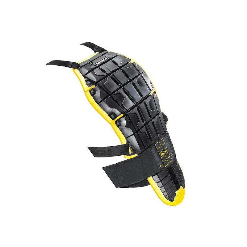 Spidi Back Warrior Evo Back Protector | BurnOutMotor